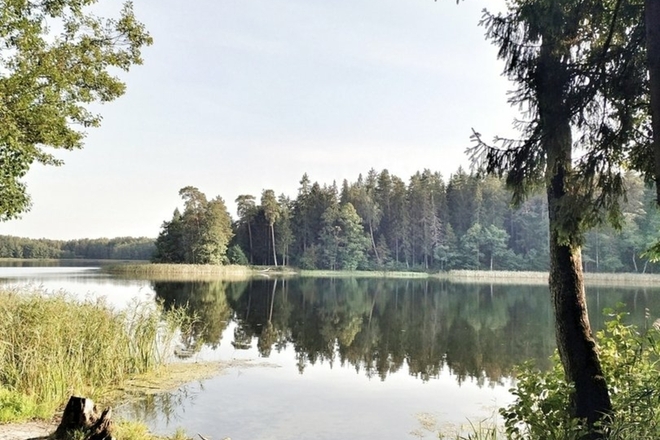 Bijotės ežero paplūdimys